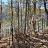 Lake Blue Ridge Campground Trail , Georgia - 577 Reviews, Map | AllTrails
