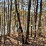 Lake Blue Ridge Campground Trail , Georgia - 577 Reviews, Map | AllTrails
