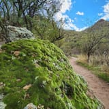 Hackberry Springs Loop, Arizona - 1,559 Reviews, Map | AllTrails
