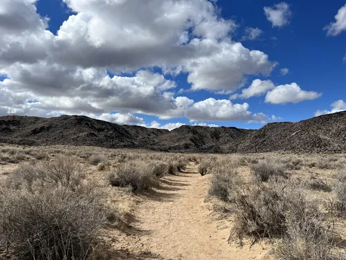 10 Best Trails and Hikes in Albuquerque | AllTrails