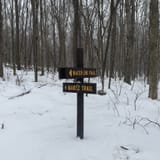 Hemlock Trail, Pennsylvania - 359 Reviews, Map | AllTrails