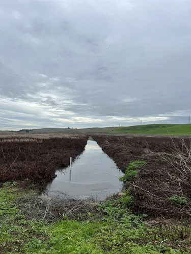 Best Hikes and Trails in Tolay Lake Regional Park | AllTrails