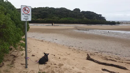 Best Hikes and Trails in Anderson Inlet Coastal Reserve | AllTrails