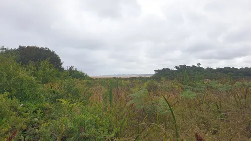 Best Hikes and Trails in Anderson Inlet Coastal Reserve | AllTrails