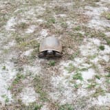 Shadow Bay Park Loop, Florida - 198 Reviews, Map | AllTrails