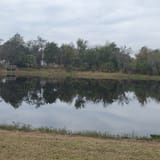 Shadow Bay Park Loop, Florida - 198 Reviews, Map | AllTrails