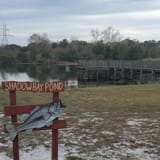 Shadow Bay Park Loop, Florida - 198 Reviews, Map | AllTrails