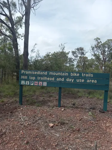 Best Walking Trails in Cordalba State Forest | AllTrails