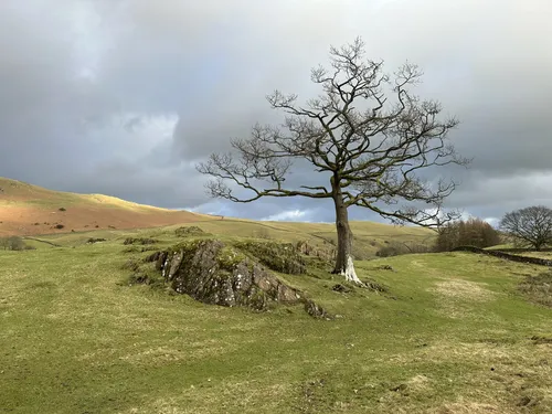 Best Dog-friendly Trails in Kendal | AllTrails