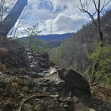 Spruce Flats Falls Trail, Tennessee - 2,686 Reviews, Map | AllTrails