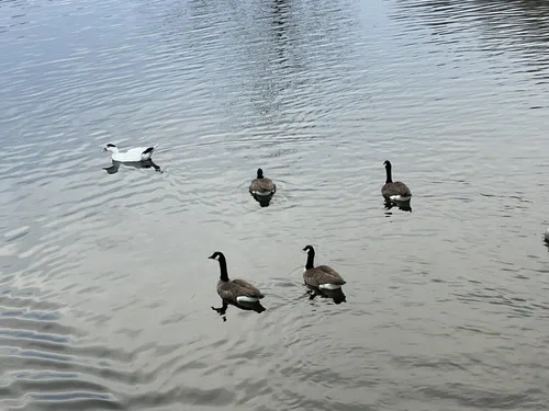 Best Hikes and Trails in Gilbert Run Park | AllTrails