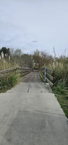 Best Road Biking Trails in Dana Point | AllTrails