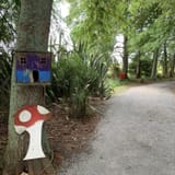 Kainui Lake Loop, Waikato, New Zealand - 99 Reviews, Map | AllTrails