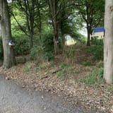 Kainui Lake Loop, Waikato, New Zealand - 99 Reviews, Map | AllTrails