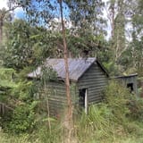 Coranderrk and Lyrebyrd Tracks, Victoria, Australia - 52 Reviews, Map ...