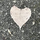 Pyramid State Park Loop Trail, Illinois - 235 Reviews, Map | AllTrails