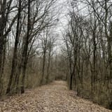 Pyramid State Park Loop Trail, Illinois - 235 Reviews, Map | AllTrails