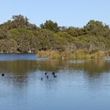 Lake Goollelal, Western Australia, Australia - 301 Reviews, Map | AllTrails