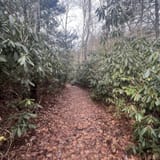 Appalachian Trail, Hosack Run, and Locust Gap Loop, Pennsylvania - 452 ...