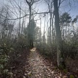 Appalachian Trail, Hosack Run, and Locust Gap Loop, Pennsylvania - 452 ...