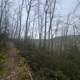 Appalachian Trail, Hosack Run, and Locust Gap Loop, Pennsylvania - 452 ...
