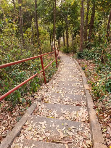 Best Camping Trails in Si Racha | AllTrails