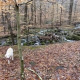 Rocky Run Loop, Delaware - 951 Reviews, Map | AllTrails