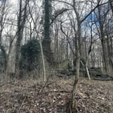 Alberton Road Trail, Maryland - 1,346 Reviews, Map | AllTrails