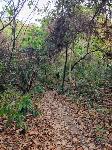 Best Camping Trails in Si Racha | AllTrails