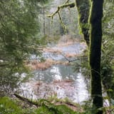 Stimpson Nature Preserve, Washington - 821 Reviews, Map | AllTrails