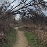 Haw River Trail in Saxapahaw, North Carolina - 209 Reviews, Map | AllTrails