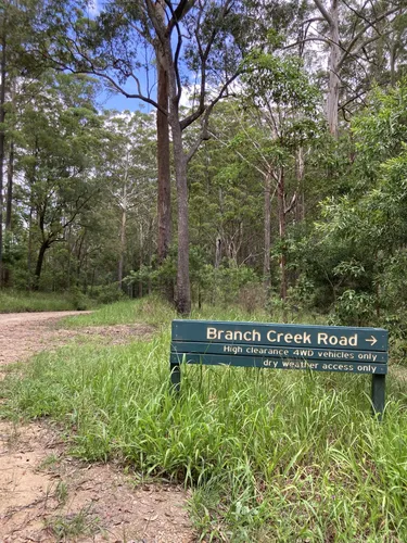Best Hikes and Trails in Bellthorpe National Park | AllTrails