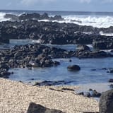 Ka'ena Point Trail (from South), Oahu, Hawaii - 2,261 Reviews, Map ...