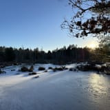 Cato's Ridge, Massachusetts - 476 Reviews, Map | AllTrails