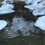 Cato's Ridge, Massachusetts - 476 Reviews, Map | AllTrails