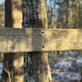 Cato's Ridge, Massachusetts - 476 Reviews, Map | AllTrails