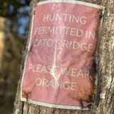 Cato's Ridge, Massachusetts - 476 Reviews, Map | AllTrails