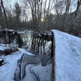 Cato's Ridge, Massachusetts - 476 Reviews, Map | AllTrails