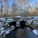 Cato's Ridge, Massachusetts - 476 Reviews, Map | AllTrails