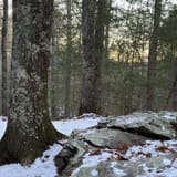 Cato's Ridge, Massachusetts - 474 Reviews, Map | AllTrails