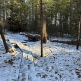 Cato's Ridge, Massachusetts - 476 Reviews, Map | AllTrails