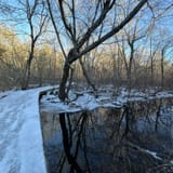 Cato's Ridge, Massachusetts - 474 Reviews, Map | AllTrails