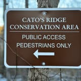 Cato's Ridge, Massachusetts - 476 Reviews, Map | AllTrails