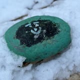 Cato's Ridge, Massachusetts - 474 Reviews, Map | AllTrails