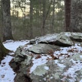 Cato's Ridge, Massachusetts - 476 Reviews, Map | AllTrails