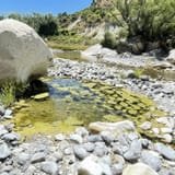 Waipara Gorge Walk, Canterbury, New Zealand - 23 Reviews, Map | AllTrails