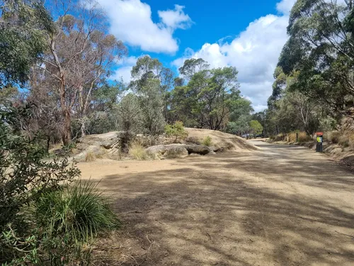 Best Hikes and Trails in Knocklofty Reserve | AllTrails