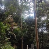 KL East Park, Kuala Lumpur, Malaysia - 112 Reviews, Map | AllTrails