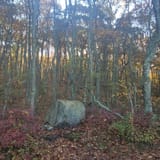 Bluff Point State Park and Coastal Reserve Trail, Connecticut - 3,383 ...