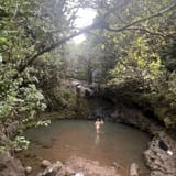 Waimano Falls Trail, Oahu, Hawaii - 4,669 Reviews, Map | AllTrails